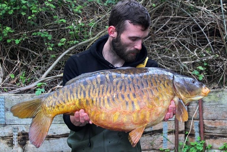 Syndicates – Hayes Carp Fisheries