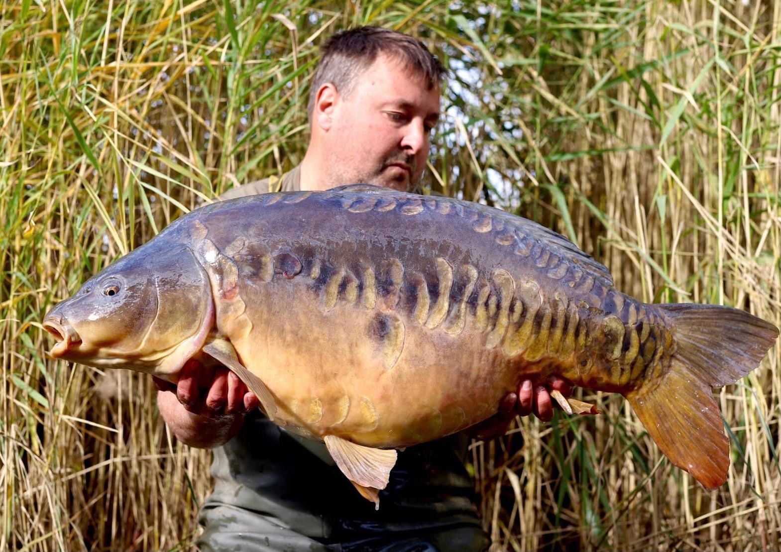 Syndicates – Hayes Carp Fisheries