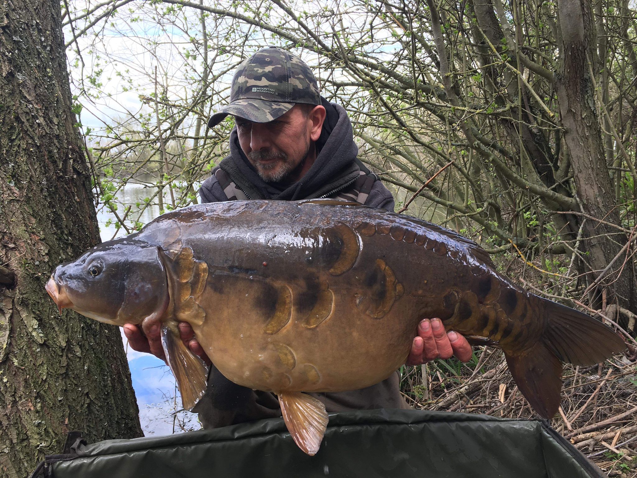 Syndicates – Hayes Carp Fisheries